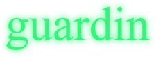 Guardin | Official Merchandise